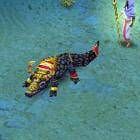 Petsuchos | Age of Empires Series Wiki | Fandom