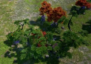 Tree | Age of Empires Series Wiki | Fandom