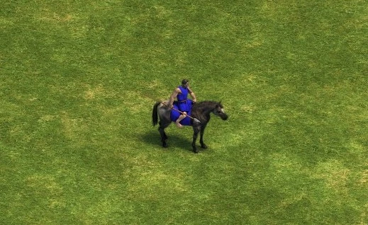 Scout (Age of Empires) | Age of Empires Series Wiki | Fandom
