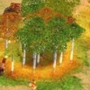 Gaia Forest | Age of Empires Series Wiki | Fandom