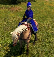 Cavalry Archer (Age of Empires III) | Age of Empires Series Wiki | Fandom
