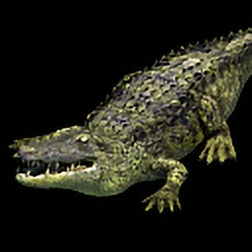 crocodile eats baboon