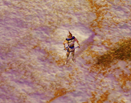 Fanatic | Age of Empires Series Wiki | Fandom
