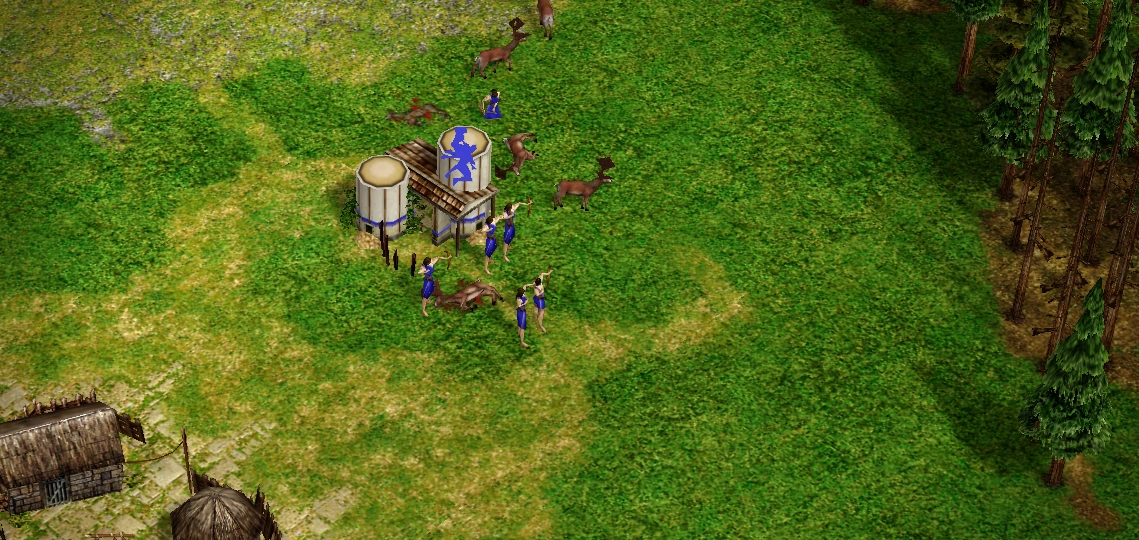 Regicide (map) | Age of Empires Series Wiki | Fandom