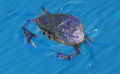 Carcinos | Age of Empires Series Wiki | Fandom