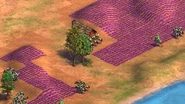 Farm (Age of Empires II) | Age of Empires Series Wiki | Fandom