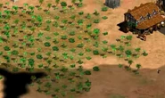 Enemy Islands | Age of Empires Series Wiki | Fandom