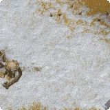 Meteor | Age of Empires Series Wiki | Fandom