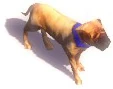 Dog | Age of Empires Series Wiki | Fandom