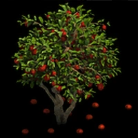 Berry Bush | Age of Empires Series Wiki | Fandom