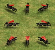 Stormy Dog | Age of Empires Series Wiki | Fandom