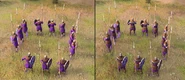 Limitanei | Age of Empires Series Wiki | Fandom