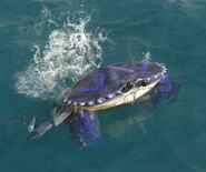 Carcinos | Age of Empires Series Wiki | Fandom