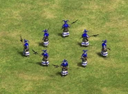 Halberdier (Age of Empires II) | Age of Empires Series Wiki | Fandom