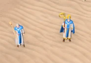 Monk/Imam/Shaman (Age of Empires IV) | Age of Empires Series Wiki | Fandom