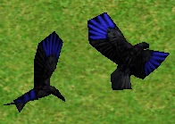 Raven | Age of Empires Series Wiki | Fandom