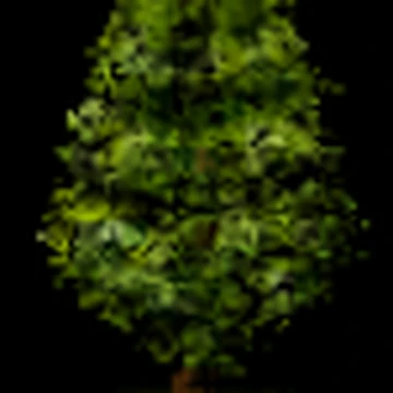 Gaia Tree
