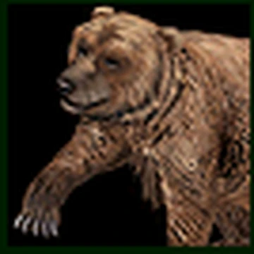 Flying Laser Bears