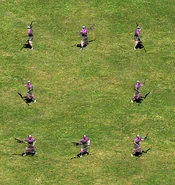 Halberdier (Age of Empires II) | Age of Empires Series Wiki | Fandom