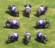 War Elephant (Age of Empires II) | Age of Empires Series Wiki | Fandom