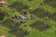 Town Center (Age of Empires) | Age of Empires Series Wiki | Fandom