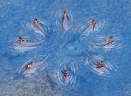 Nereid | Age of Empires Series Wiki | Fandom