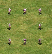 Champion | Age of Empires Series Wiki | Fandom