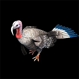 Pavo | Age of Empires Wiki | Fandom