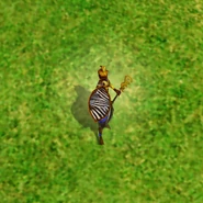 Amanra | Age of Empires Series Wiki | Fandom