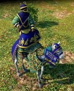 Emir | Age of Empires Series Wiki | Fandom