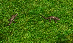 Lizard | Age of Empires Series Wiki | Fandom