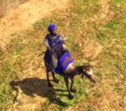 Sowar | Age of Empires Series Wiki | Fandom