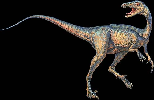 Troodon | Age of the dinosaurs Wiki | Fandom