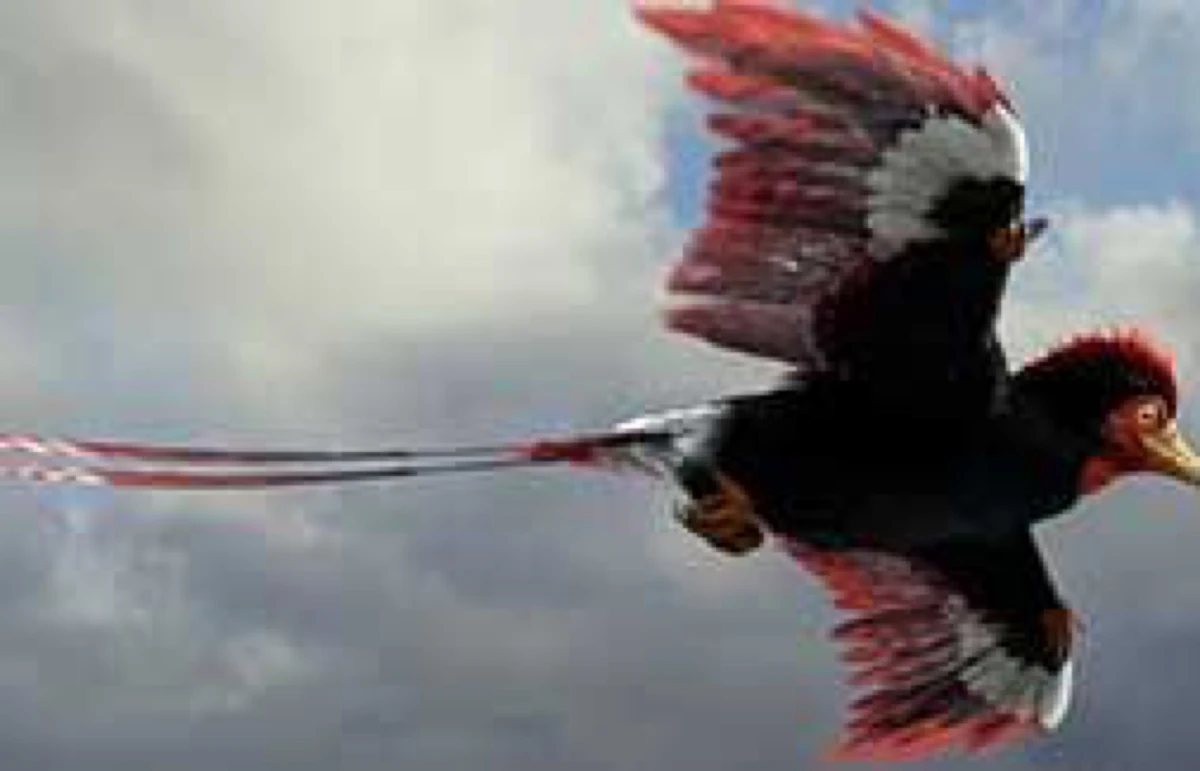 Alexornis | Age of the dinosaurs Wiki | Fandom