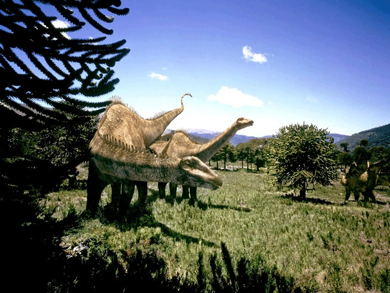 Diplodocus | Age of the dinosaurs Wiki | Fandom