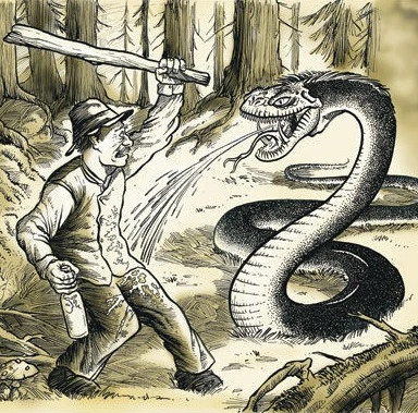 Aspis | Sunima Library | Fandom