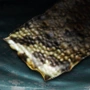 Thin Viper Skin | WushuWiki | Fandom