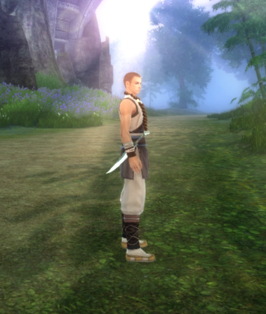 Dagger | WushuWiki | Fandom