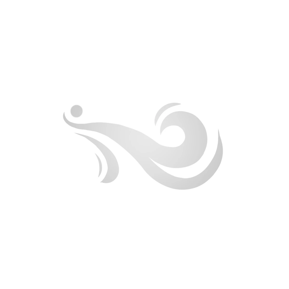 Wind Magic | Agiria Wiki | Fandom