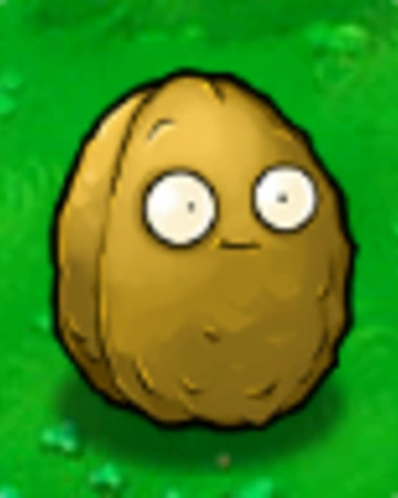 Wall Nut | AGK Adventures Wiki | Fandom