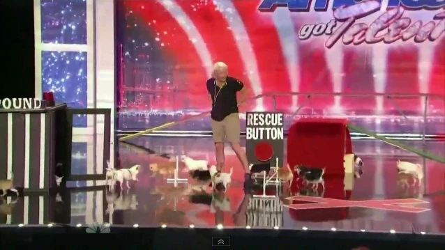 Tiny Talent | America's Got Talent Wiki | Fandom