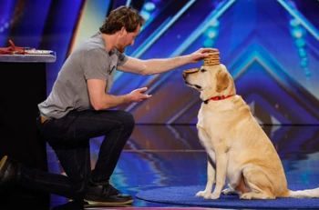 Daragh and Dexter | America's Got Talent Wiki | Fandom