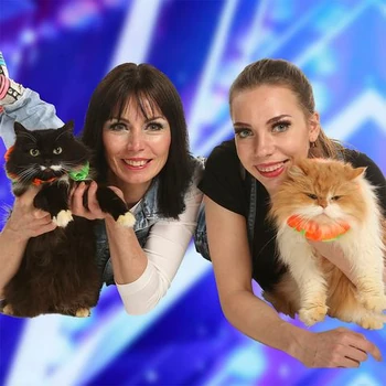 The Savitsky Cats | America's Got Talent Wiki | Fandom