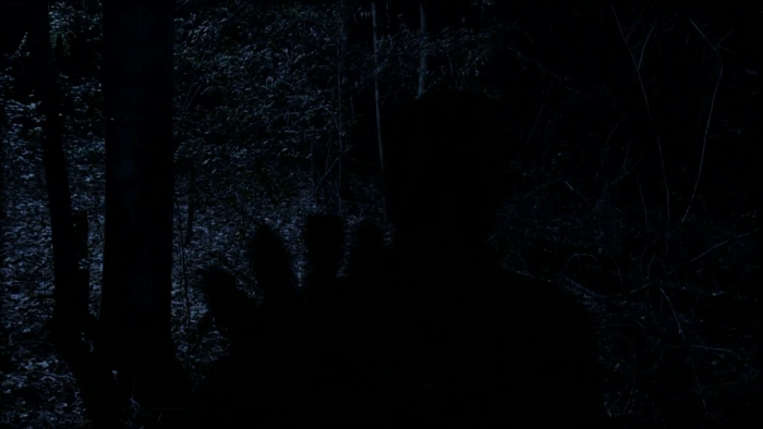 The Shadowman (Demon) | A Haunting Wiki | Fandom