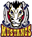 Phoenix Mustangs | American Hockey League Wiki | Fandom