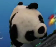 Moey | AhmedBoss Wiki | Fandom