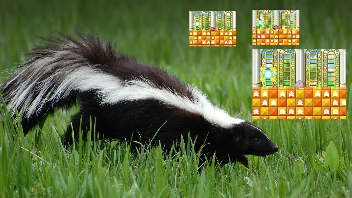 Striped Skunk | Ai Hinatsuru & Ai Yashajin's Fantasy Adventure Wiki ...