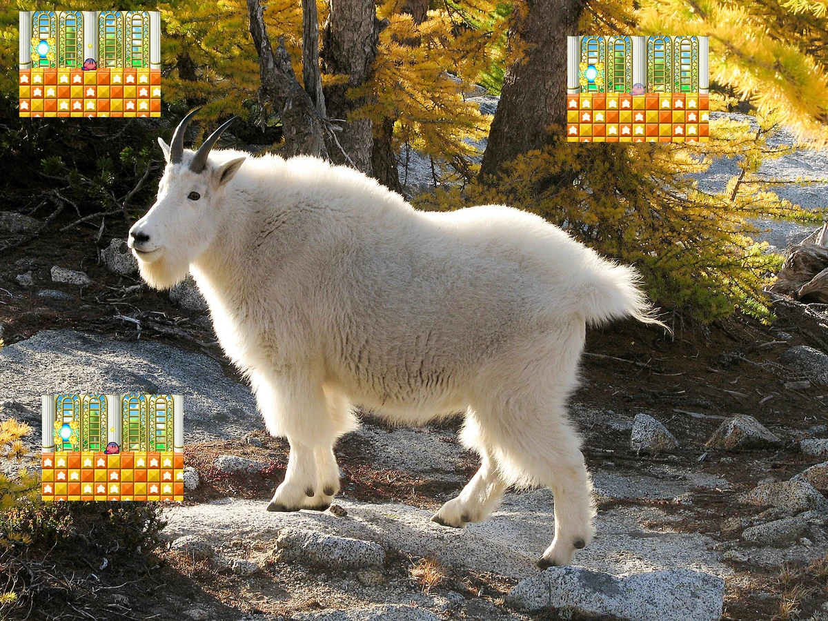 Mountain Goat | Ai Hinatsuru & Ai Yashajin's Fantasy Adventure Wiki ...