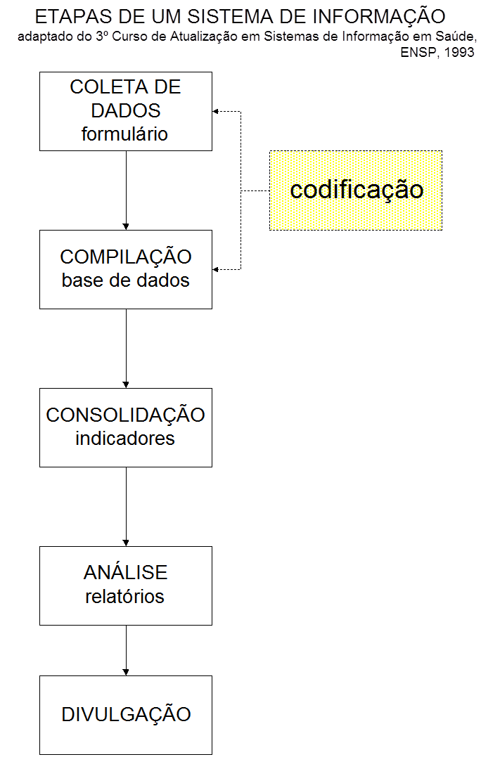 Classificação Internacional de Doenças (CID) | Wiki AIA 13-17 | Fandom