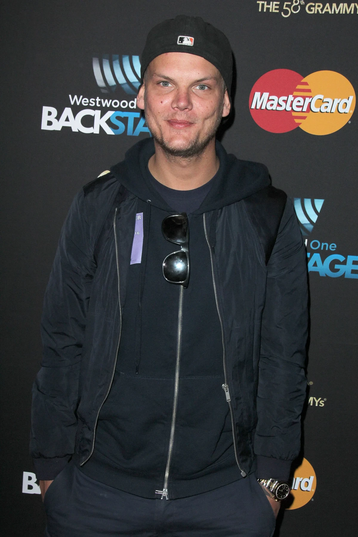 Avicii | Aiden Bave Wiki | Fandom